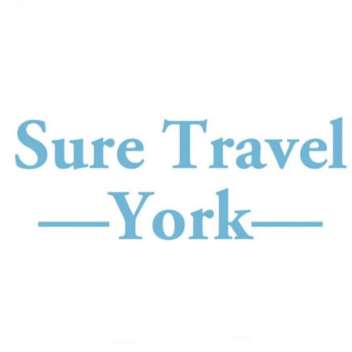 Airport Transfers & Day Trips Specialist | 8 Seat Minibus | York